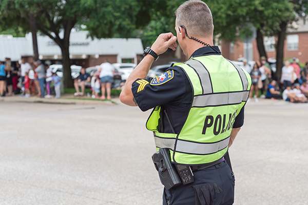 Curriculum Law Public Safety Corrections And Security